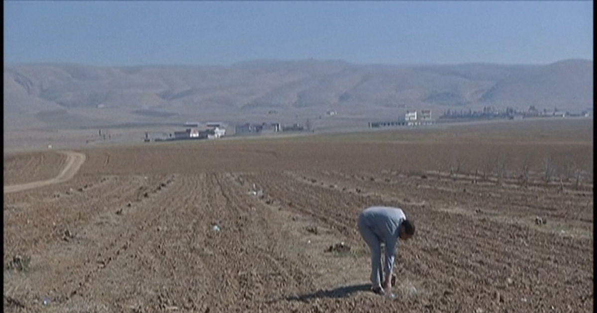 After Islamic State Defeat, Iraqi Farmers Weigh Heavy Losses | NTD