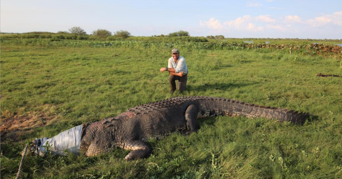 Australian Man Catches Monster Croc, Stirs Controversy on Social Media ...