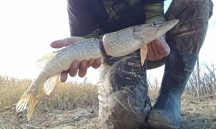 'Pick up Your Garbage' Says Man Who Caught Deformed Fish | NTD