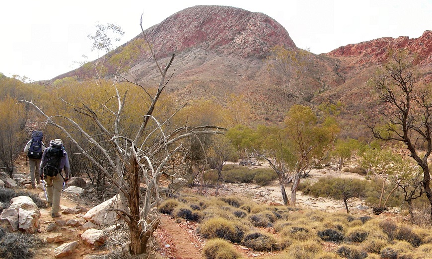 Woman Rescued After 12 Nights Stranded in Outback; 2 Missing | NTD