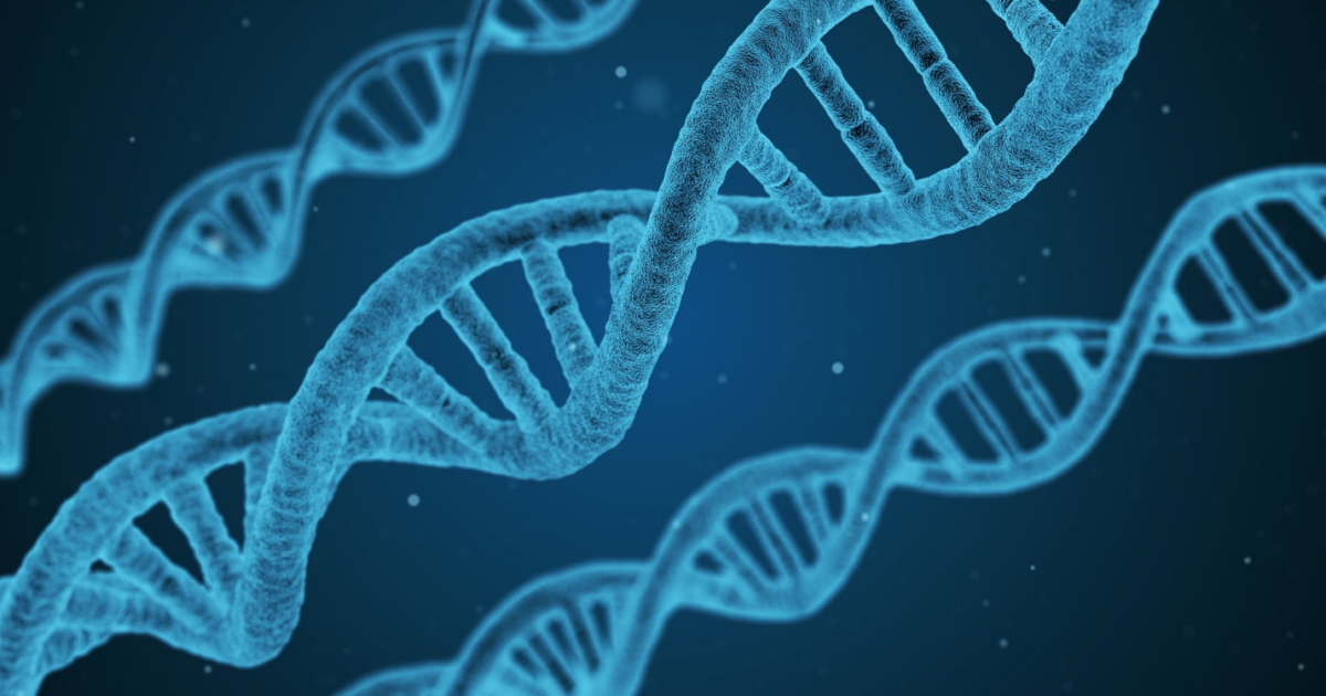 DNA Nanorobots Successfully Target and Kill Cancer | NTD DNA Nanorobots Successfully Target and Kill Cancer | NTD