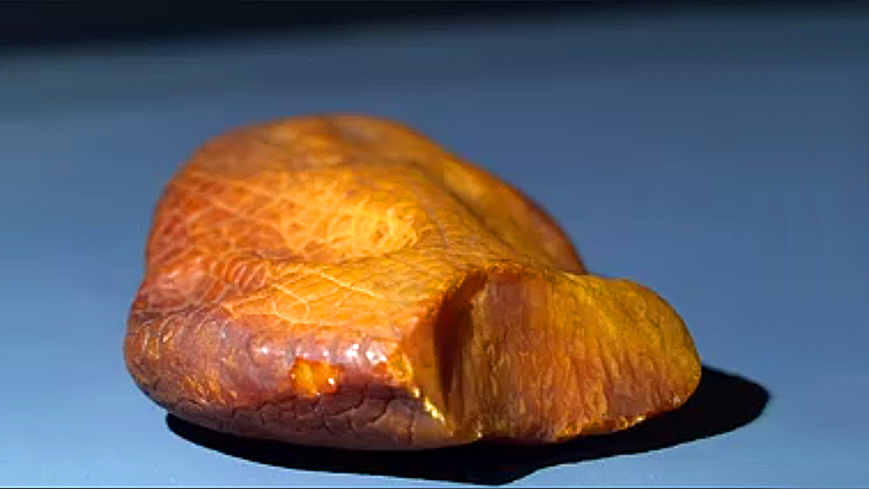 Ancient Amber on Display in Moscow Museum | NTD