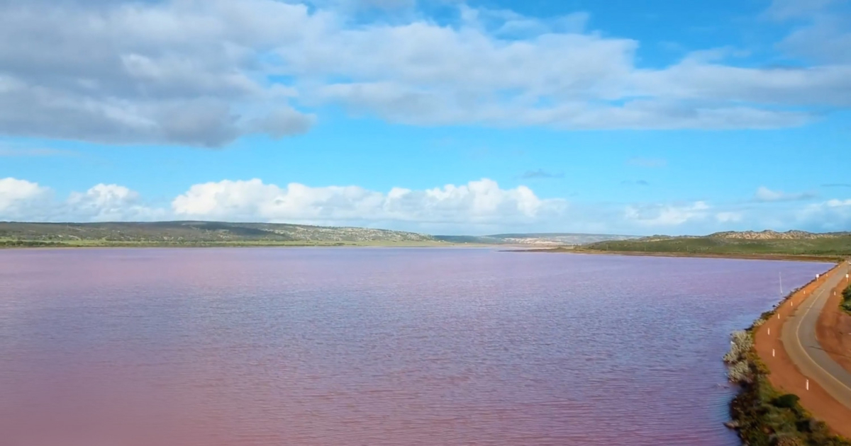 Photographer Captures Stunning Pink Lake in Western Australia | NTD