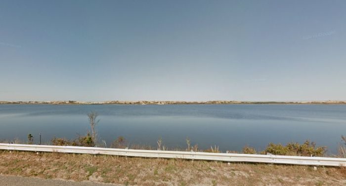 Shark Kills Man in Cape Cod; Police ID Him as Arthur Medici | NTD