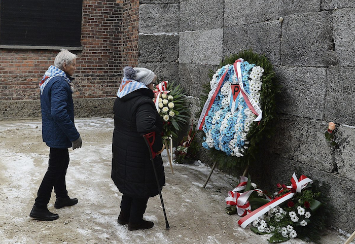 Auschwitz Survivors Pay Homage as World Remembers Holocaust | NTD