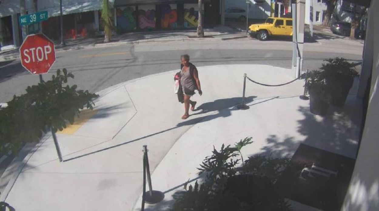 Police Arrest Woman Who Allegedly Kidnapped Boy After Gallery Owner ...