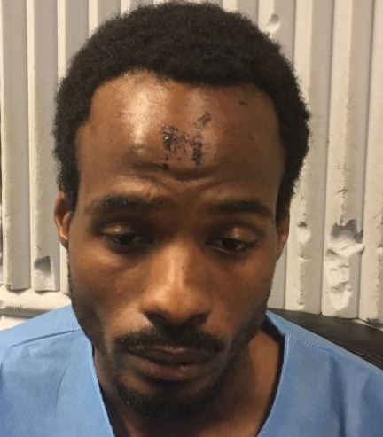 Maleah Davis Update: Volunteers Search Suspect's Mail Route for Clues ...