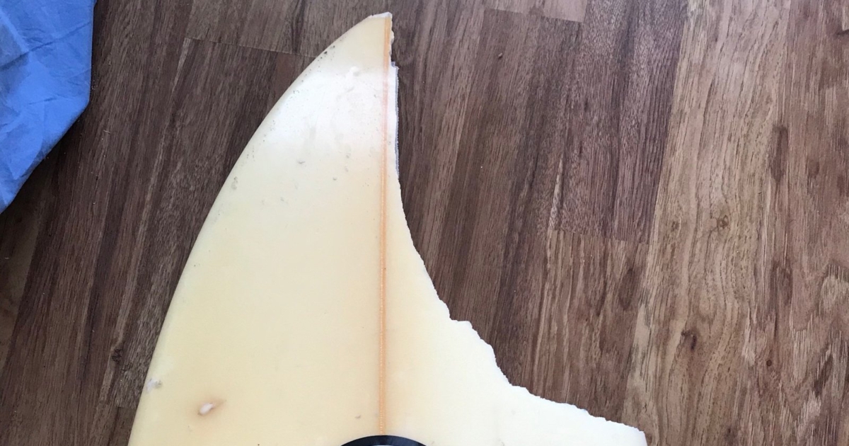 A Surfer in Hawaii Survives After a Shark Bites a Chunk out of His ...