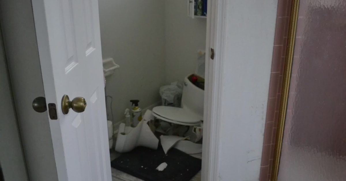 Florida Woman Says Toilet Explodes After Lightning Strike | NTD