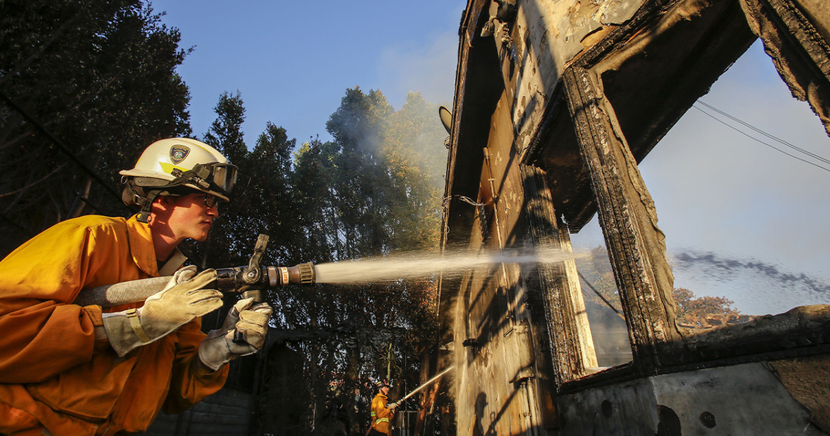 Getty Fire Caused by Tree Branch Falling Onto Power Lines, Fire ...