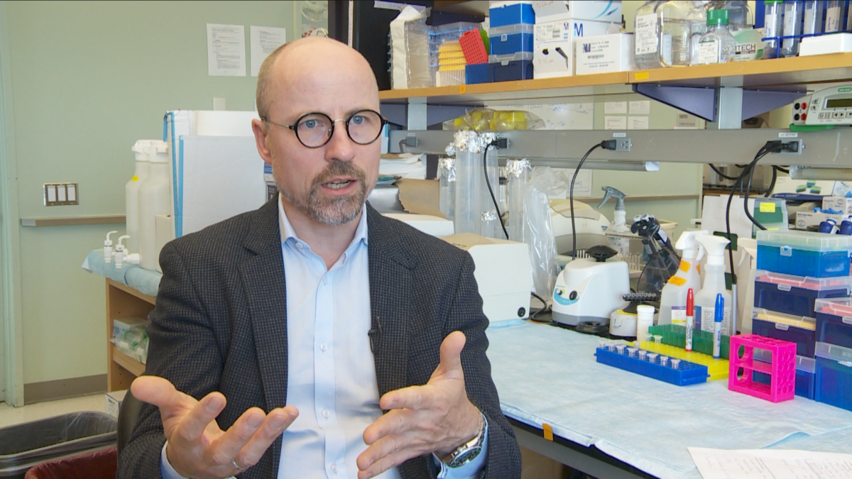 How Do Our Cells Breathe? 2019 Nobel Prize Research In Medicine Has the ...