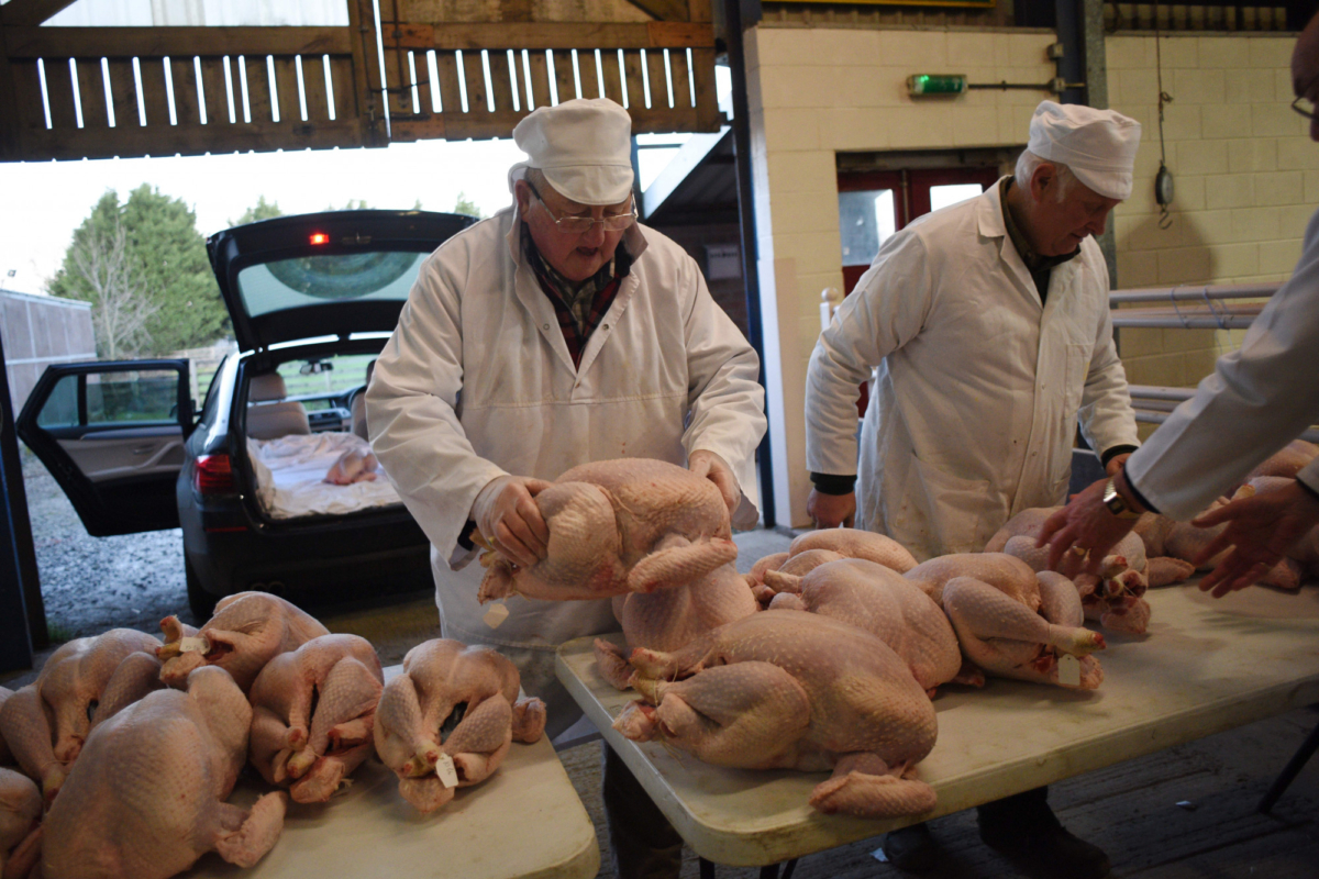 More Than 2 Million Pounds of Chicken Products Recalled in 8 States | NTD