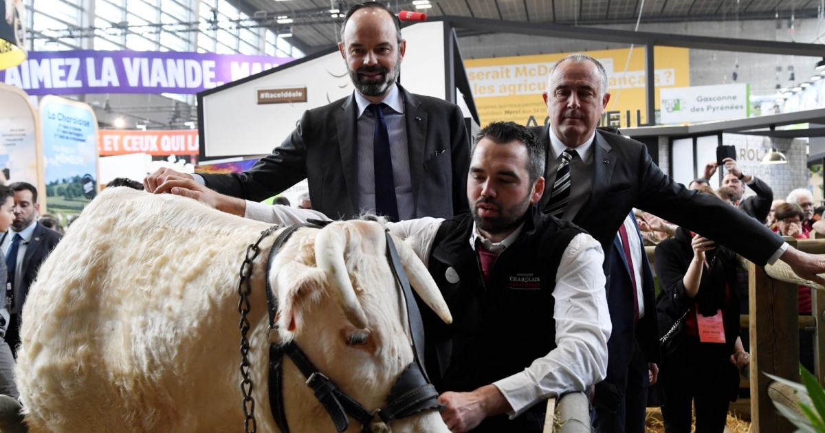Paris Farm Show: A Taste of Rural Life | NTD