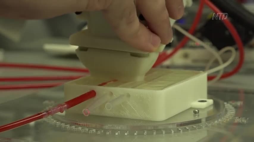 New Blood-Drawing Device Tested on Humans | NTD