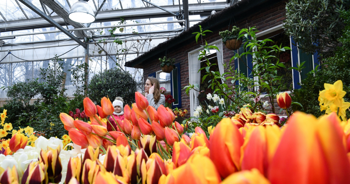 Spring Equinox 2020: Earliest Arrival in More Than a Century | NTD