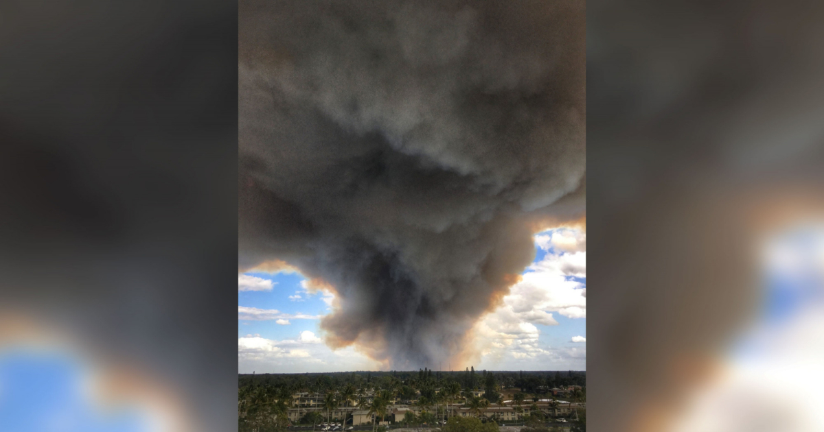 Florida Wildfires in Naples Area Force Evacuations, Temporarily Closes ...