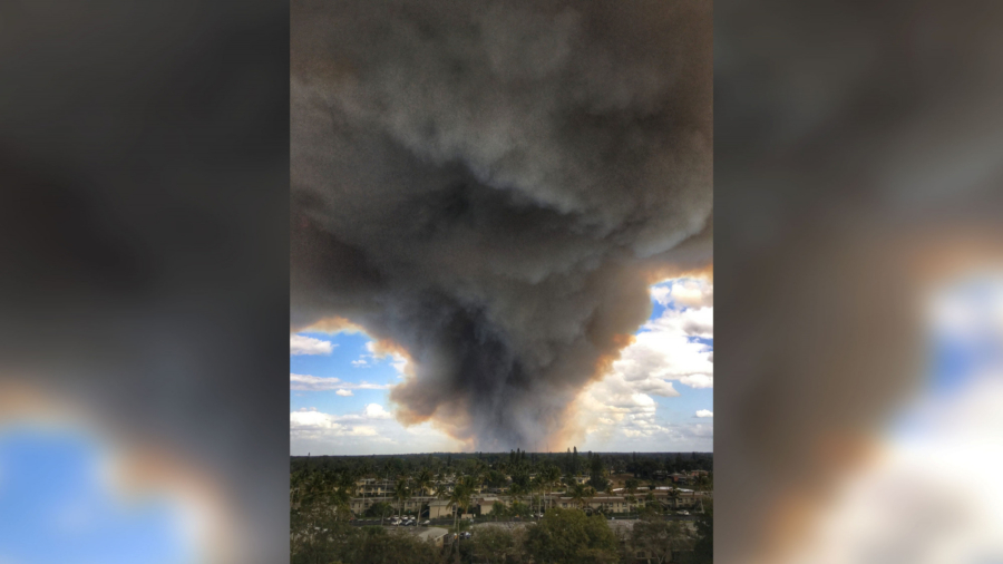 Florida Wildfires in Naples Area Force Evacuations, Temporarily Closes ...