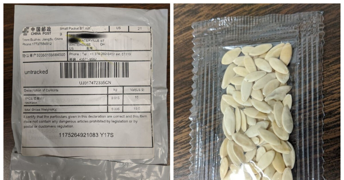 USDA Investigation Reveals 14 Varieties in Unsolicited Seeds Mailed ...
