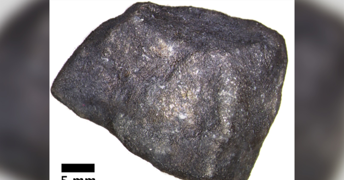 ‘Fireball’ Meteorite That Fell to Earth in 2018 Reveals Its Secrets | NTD