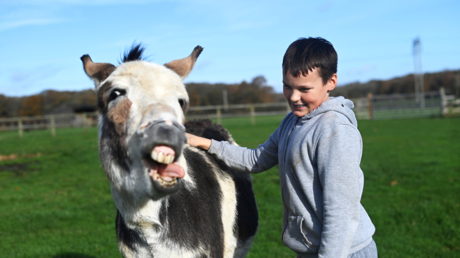 UK Care Farms a Lifeline During Lockdown | NTD