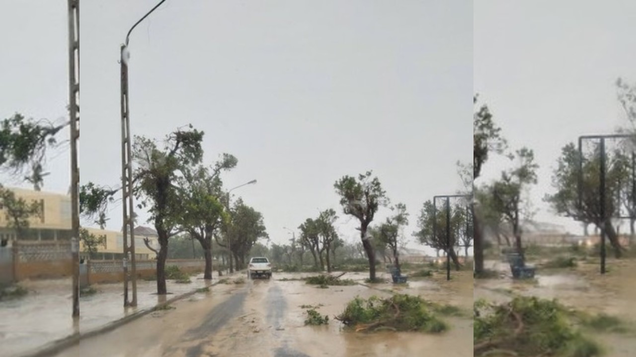 Tropical Cyclone Eloise Makes Landfall in Mozambique, Loses Strength | NTD
