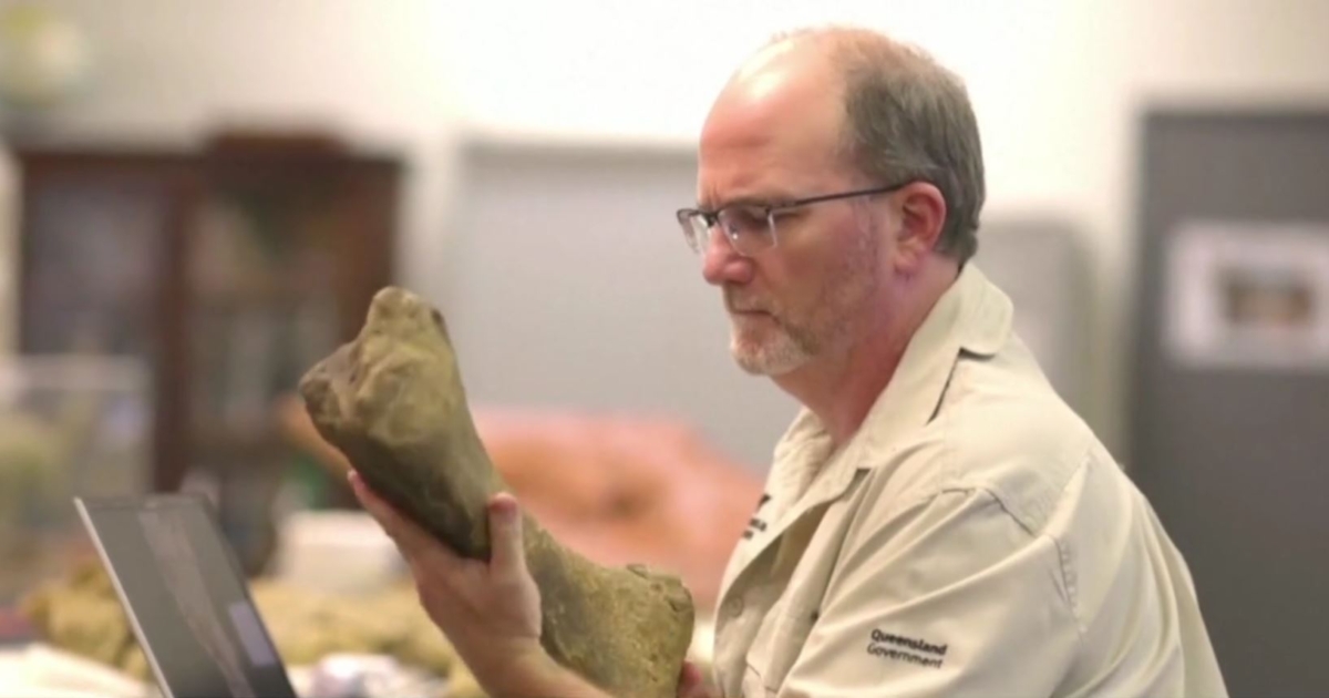 Scientists Discover New Dinosaur Species | NTD Scientists Discover New Dinosaur Species | NTD