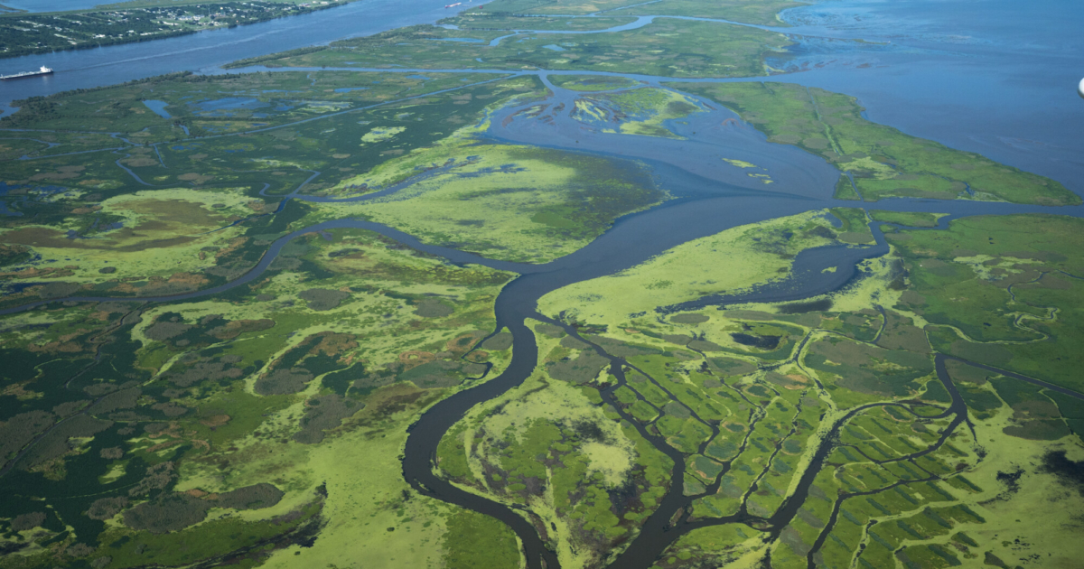 NASA Studies Mississippi River Delta | NTD