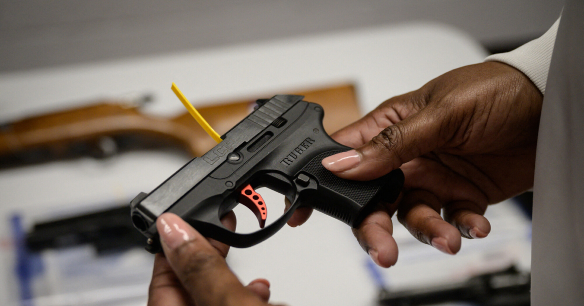 San Jose Votes For Gun Liability Insurance | NTD