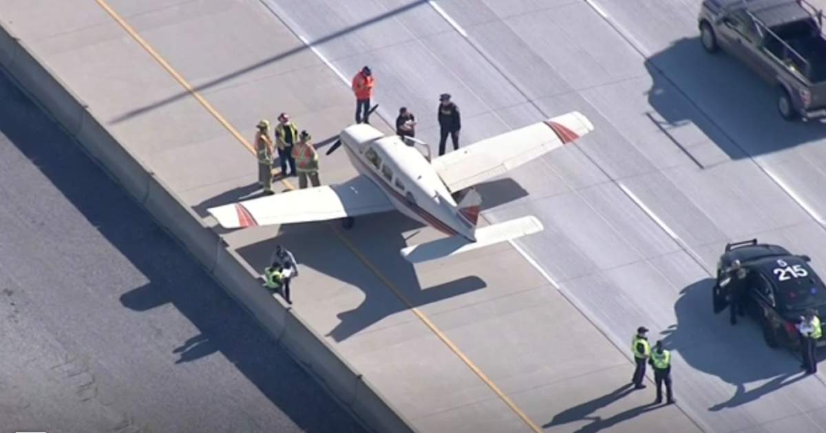 Small Plane Lands on Major Canada Highway | NTD