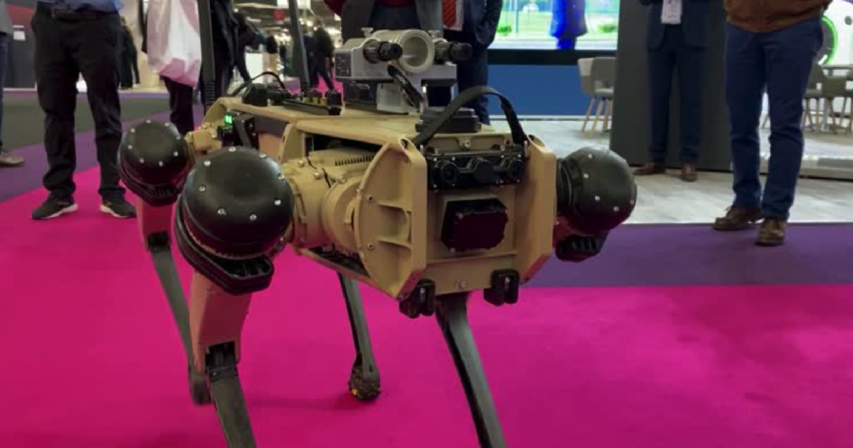 Military Robot Dog Performs at Defense Fair | NTD