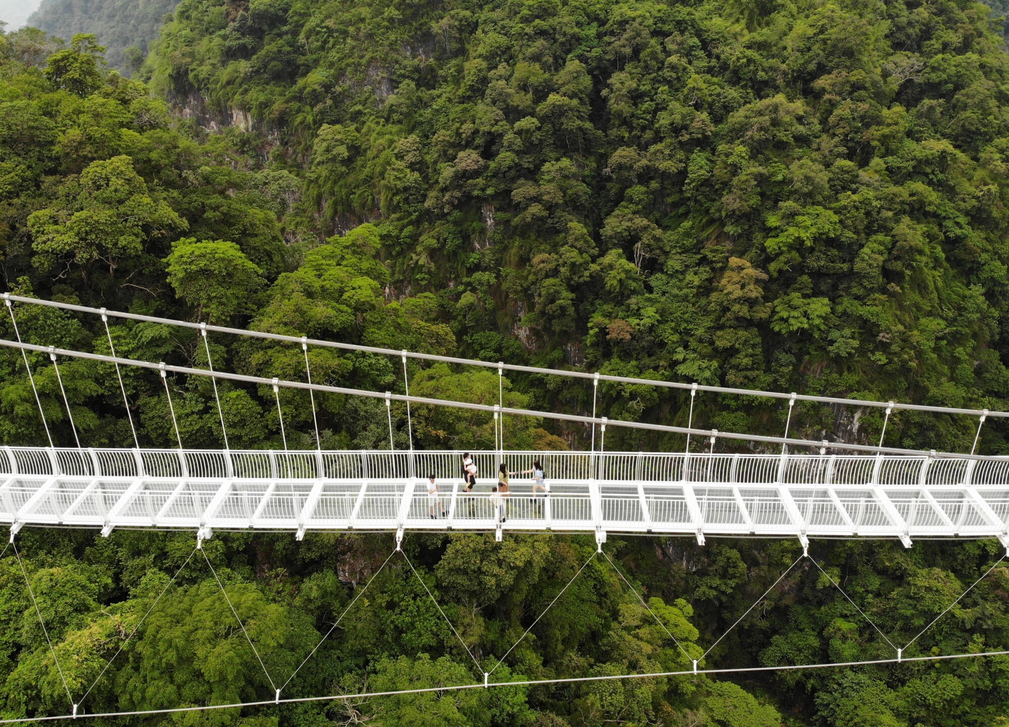 Vietnam's New Glass Bridge Sets Guinness World Record | NTD