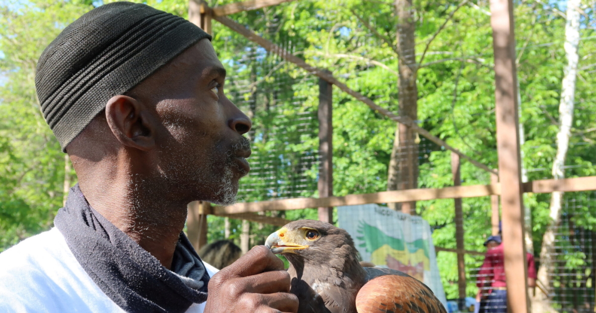 Former Drug Dealer Becomes Master Falconer | NTD