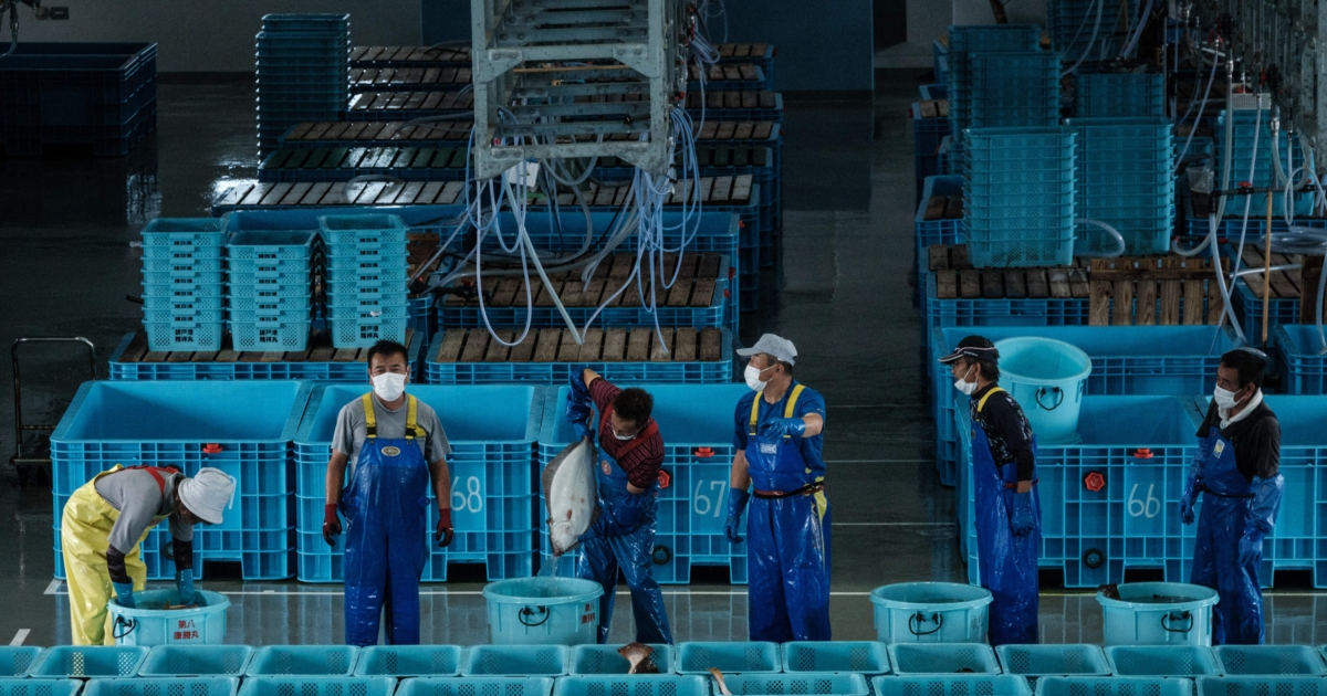 Overfishing Problematic for Fisherman Using Traditional Methods in ...