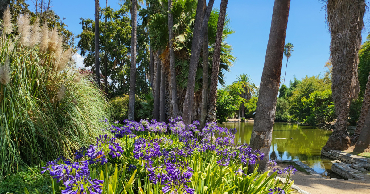 A Little-Known Botanical Oasis in Los Angeles | NTD