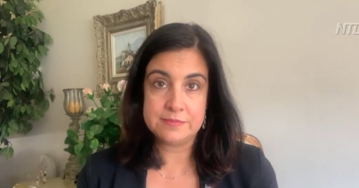 Rep. Malliotakis on Illegal Immigrants Being Bused to New York | NTD