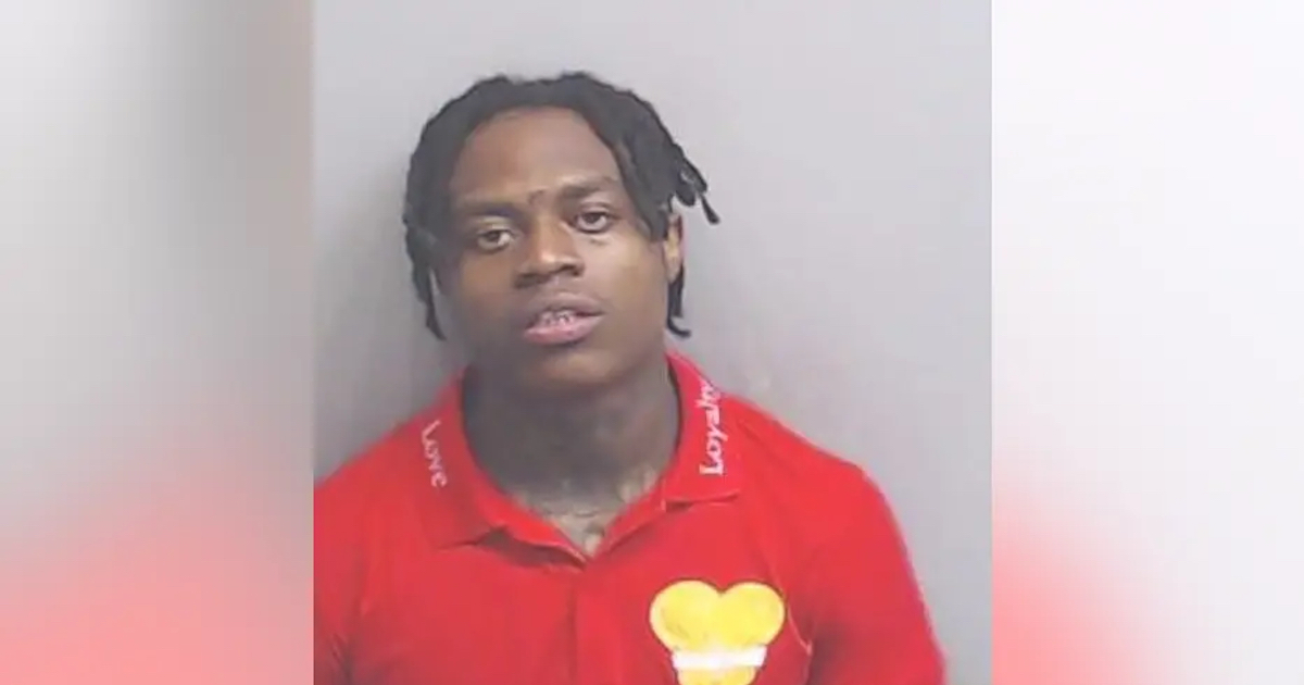 Atlanta Rapper Paper Lovee Gets 7+ Years for Gun Possession | NTD
