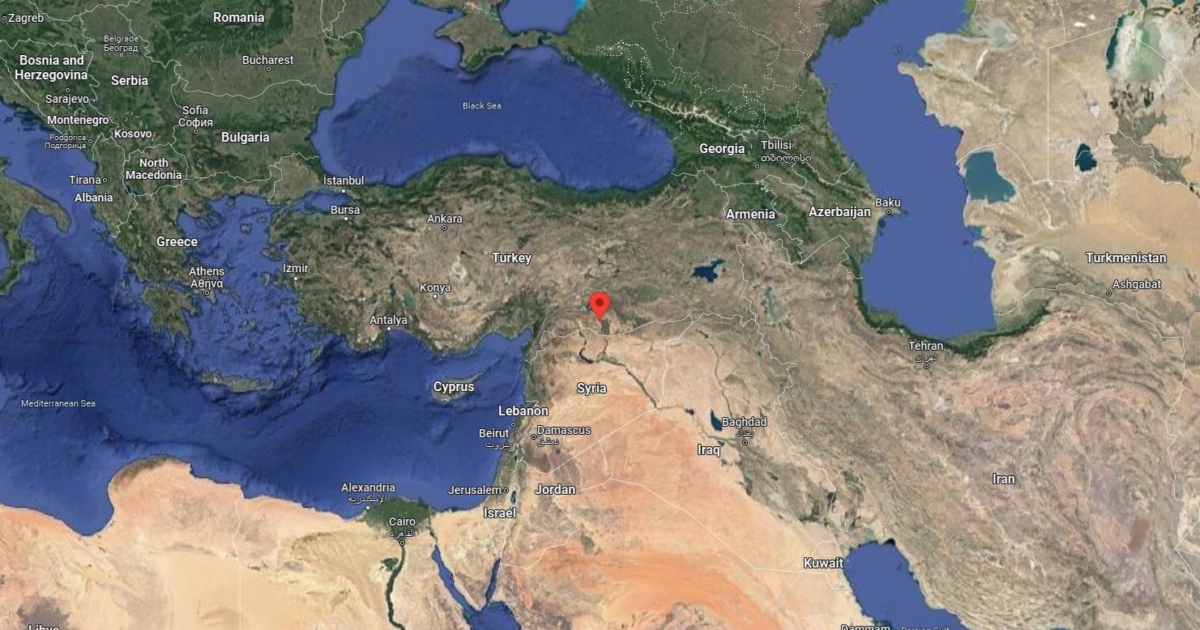 Turkish Scorpion Farmer Milks Arachnids for Their Expensive Venom | NTD