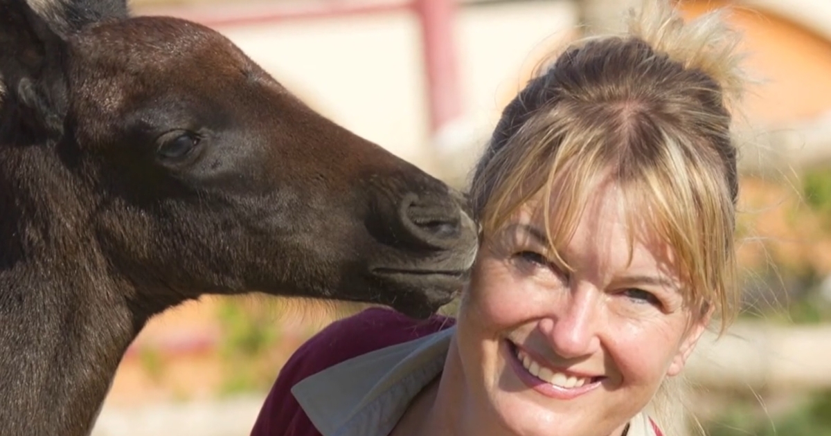 Horse Whisperer: TV Reporter Gives Up Career to Photograph Horses | NTD