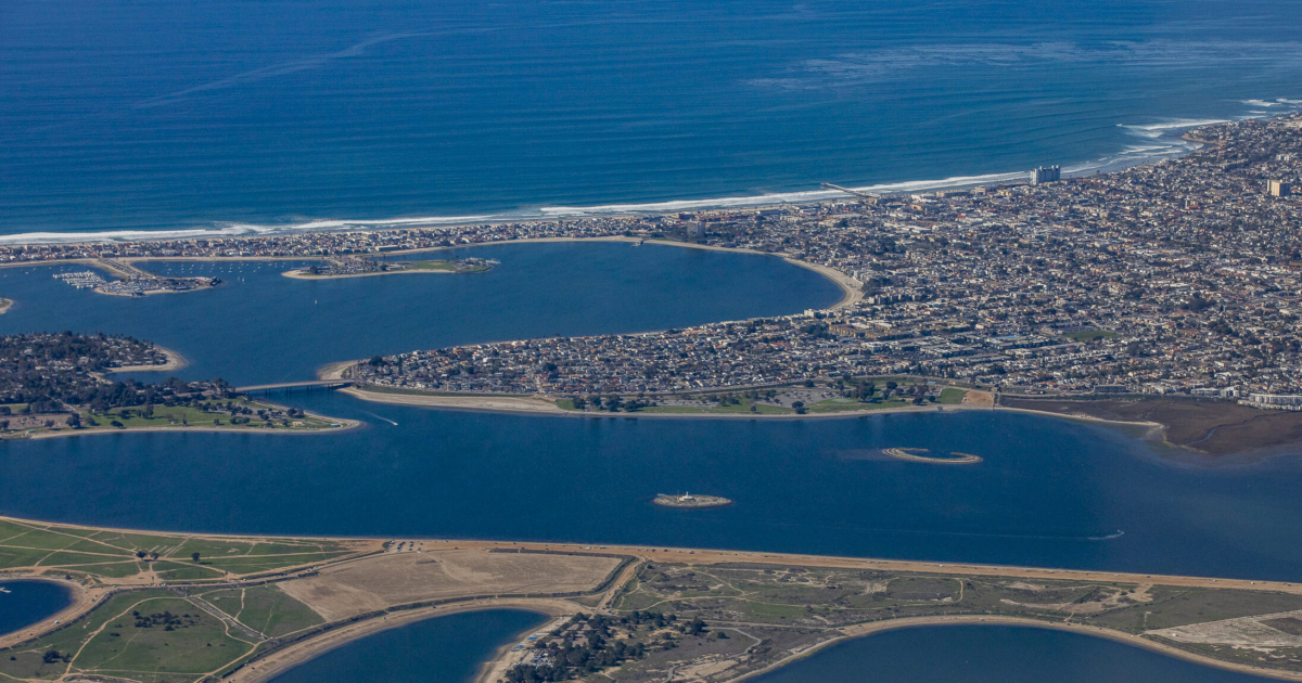 Underwater ‘Mini Shark’ Bugs Taking Bites of Californian Beachgoers | NTD