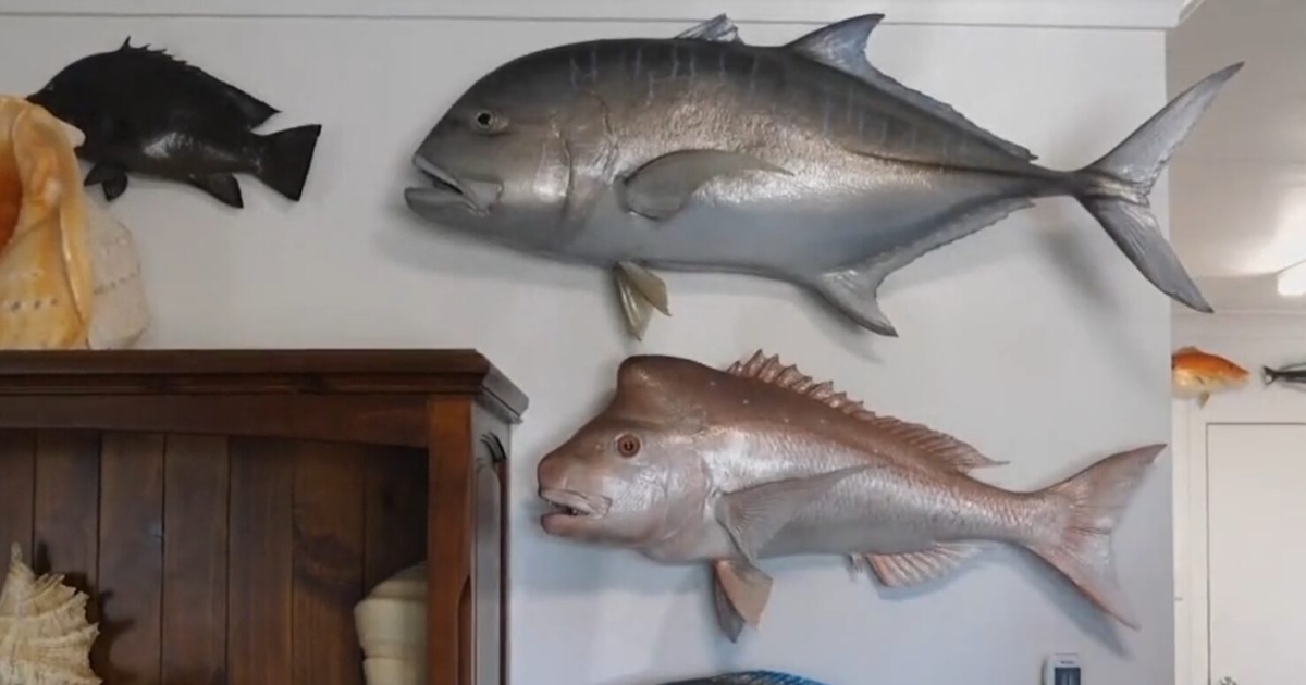 Realistic Fish Replicas Hook Fishermen | NTD