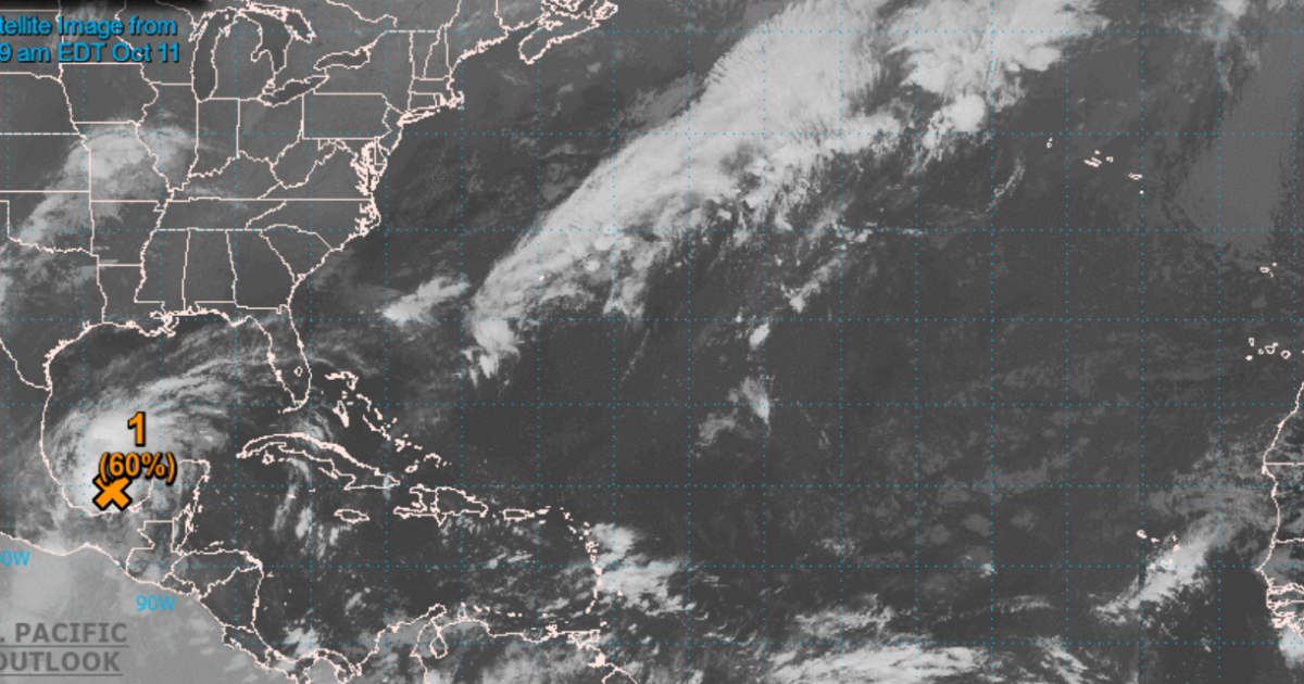 US NHC Sees 60 Percent Chance of Storm in Gulf of Mexico | NTD