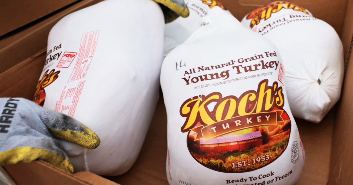 Turkey Frying and Thanksgiving Fire Safety Tips | NTD