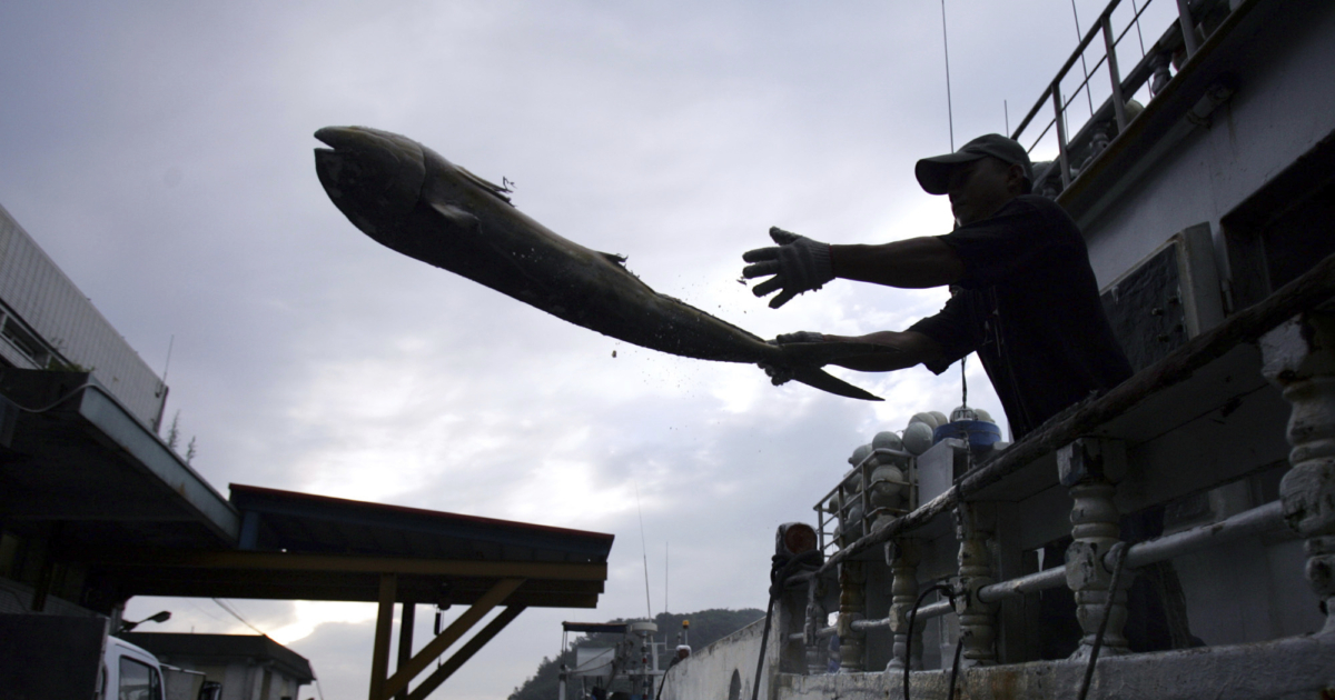 Report: Over 100,000 Fishing-Related Deaths Occur Annually | NTD