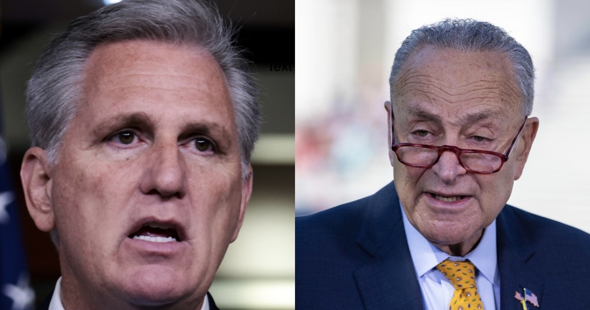 McCarthy–Schumer Working Relationship Already Strained | NTD