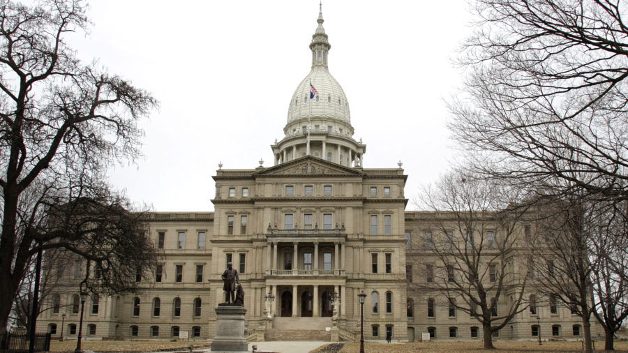 Michigan Senate Judiciary and Public Safety Committee Meeting | NTD