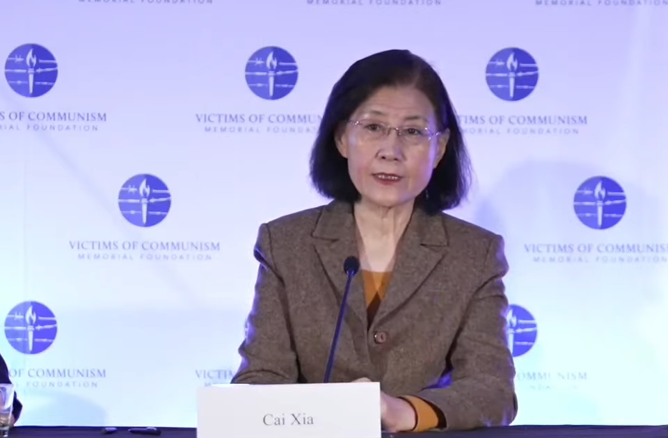 The China Forum: Interview With Yi Bao Magazine Editor-in-Chief Cai Xia ...