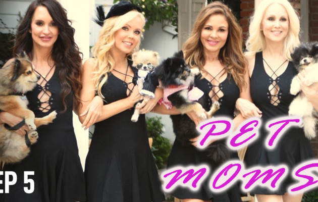 The British Are Coming! | Pet Moms Ep5 | NTD