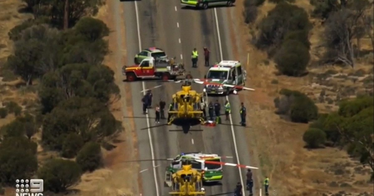 Girl, 5, Saves Younger Brother’s Life After Car Crash Kills Parents | NTD