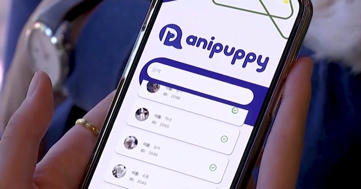 New Technology Identifies Dogs By Nose Print NTD new-technology-identifies-dogs-by-nose-print-ntd