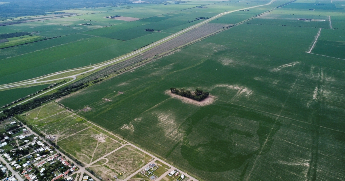 Argentine Corn Field Planted With Face of World Cup Winner Messi | NTD